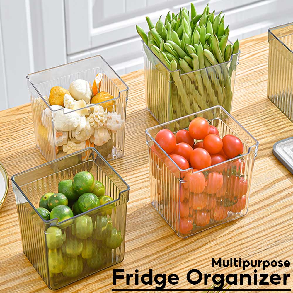 Locaupin Transparent Multipurpose Fridge Organizer Bin Refrigerator Si – LocaupinPH
